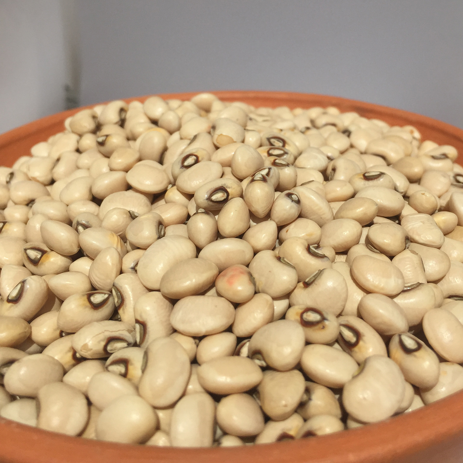 Buy Online White Karamani | Shandy Organic store in Mylapore