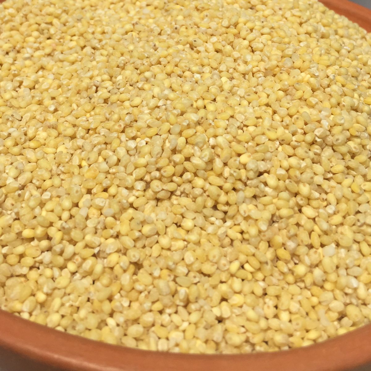 Proso Millet (Panivaragu) | Organic Store in Chennai | Shandy Organic