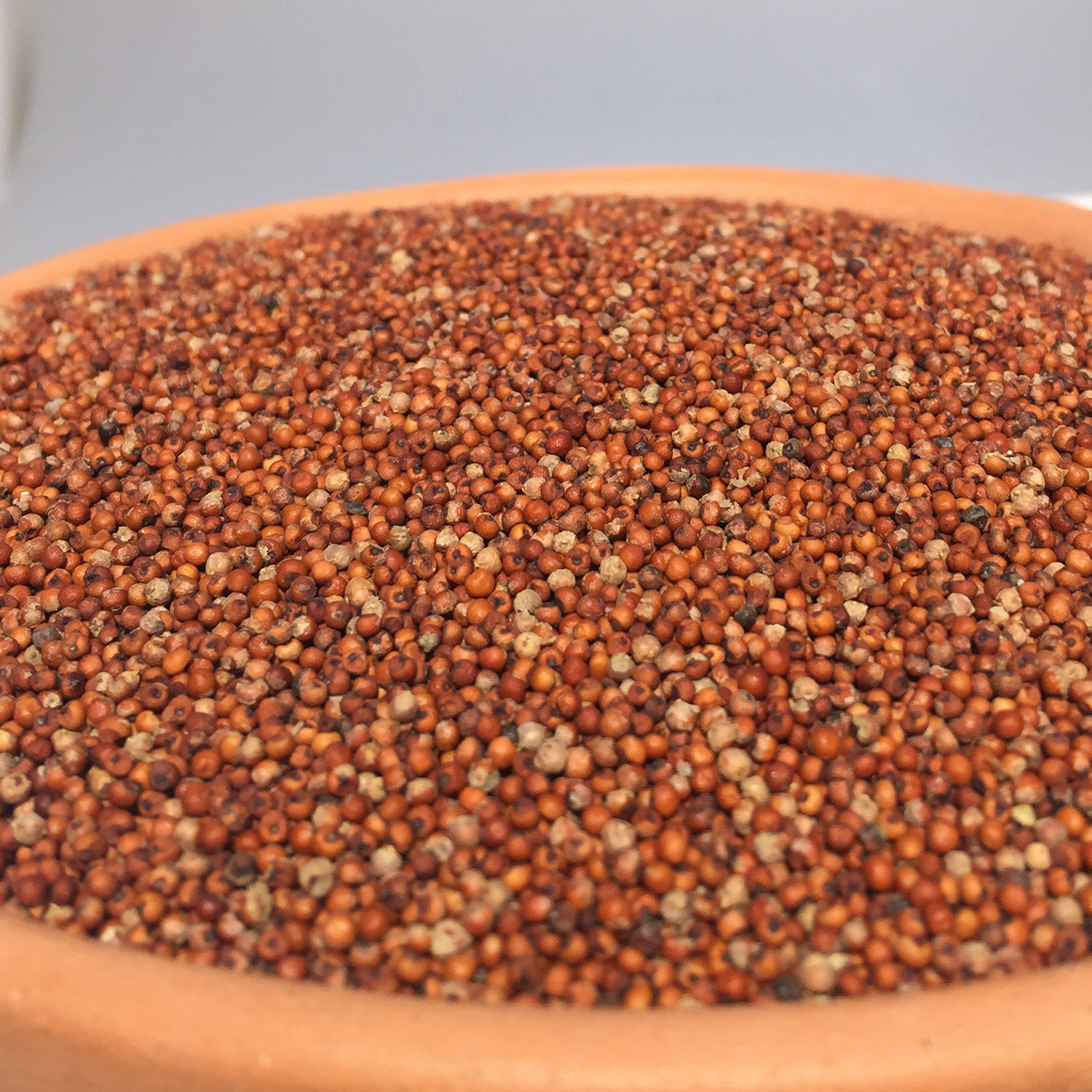 Organic Ragi (Finger Millet) | Organic Store in Chennai | Shandy Organic