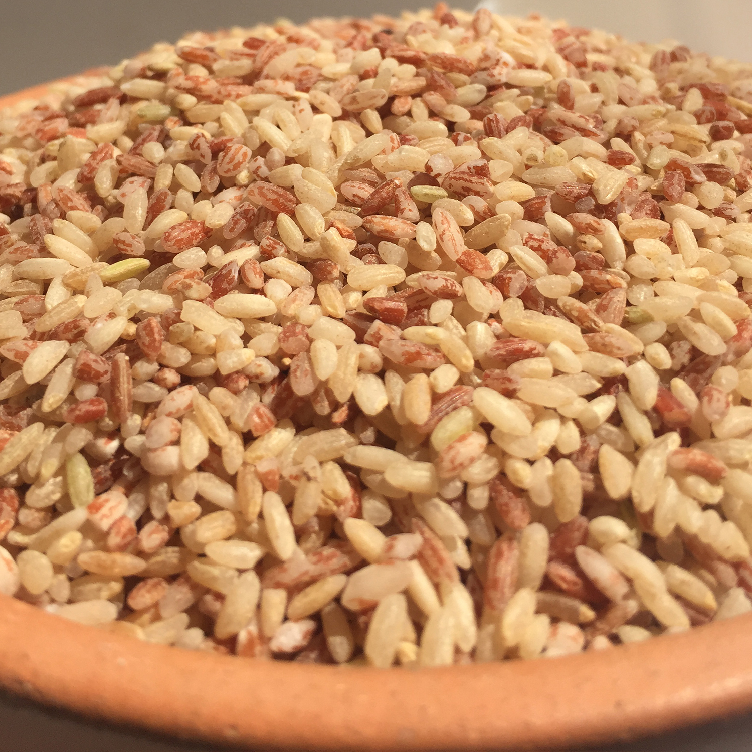 Organic Rajamudi Raw Rice | Organic Store in Chennai | Shandy Organic