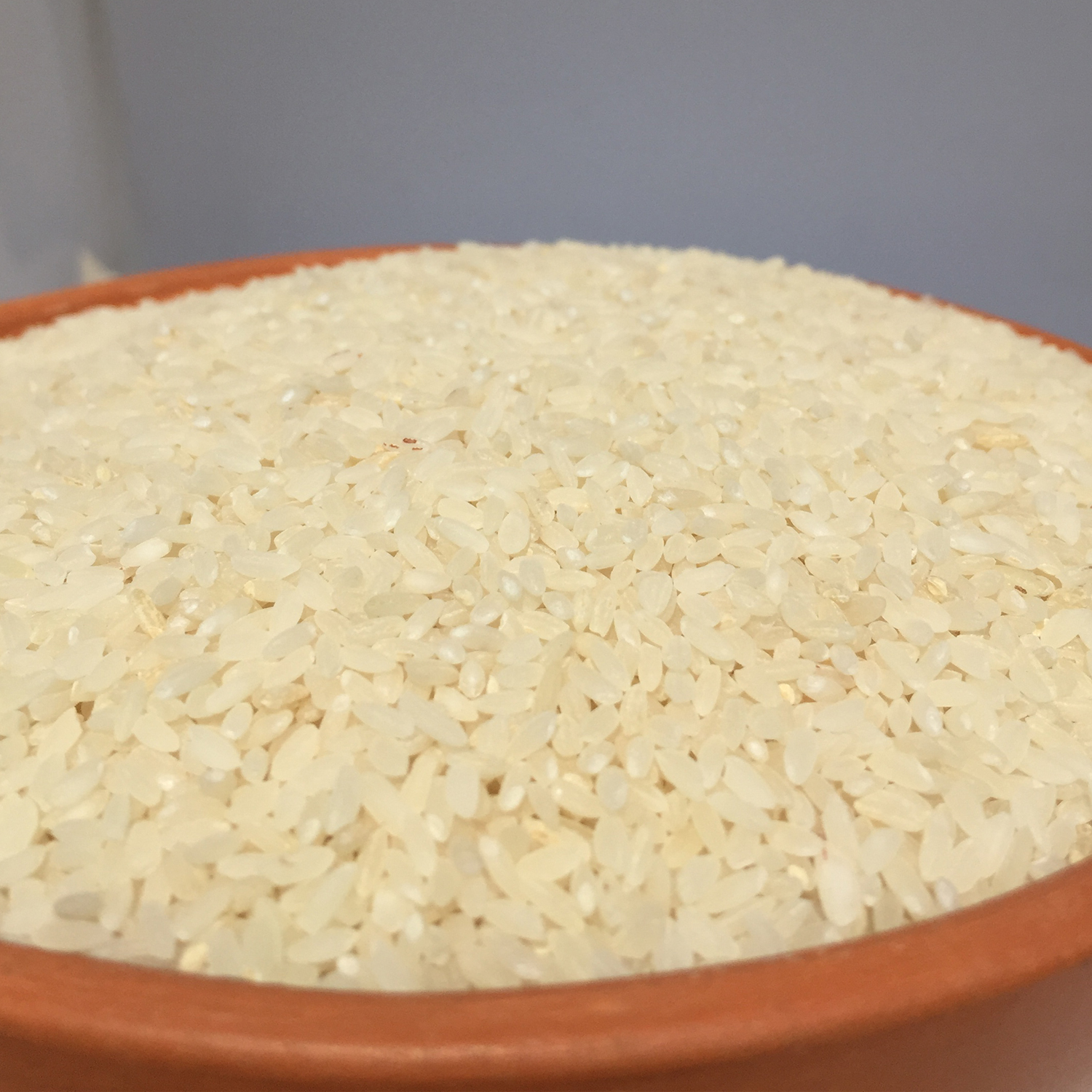 ADT 43 Organic Rice - Raw | Organic Store in Chennai | Shandy Organic